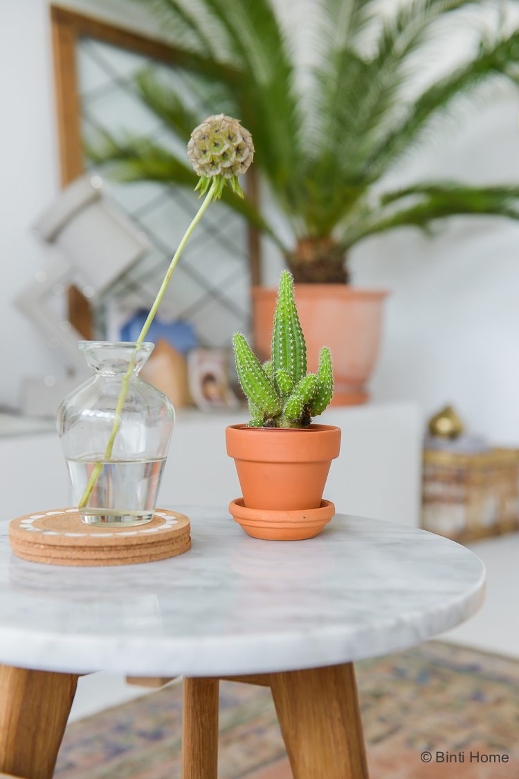 Stylingtip met planten : de mini cactus - Binti Home ...